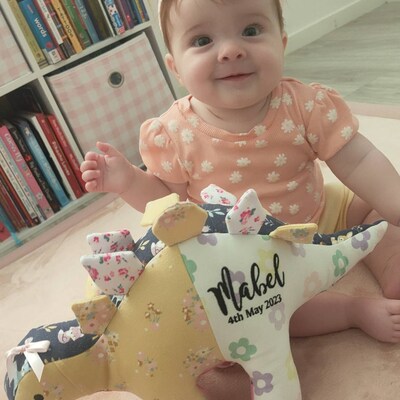 Frog Memory Bear, Keepsake Teddy, Stuffed Teddy Keepsake, Keepsake Bear ...