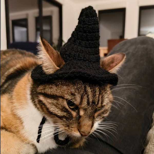 Crochet Pattern: Witch Hat for Cats, PDF Instructions for Cat Witch Hat ...