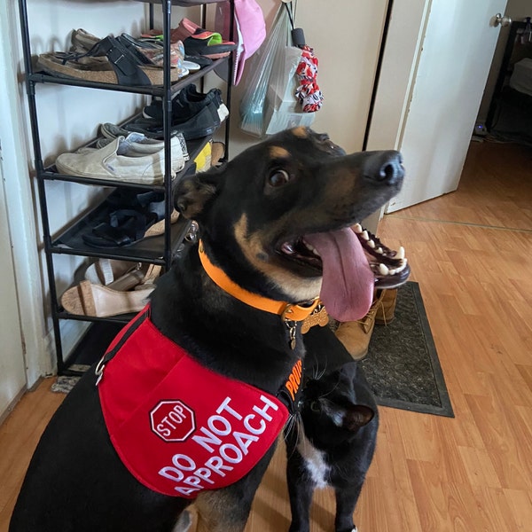 Vest (select Your Size), STOP Do Not Approach, Light Weight Sd Style ...