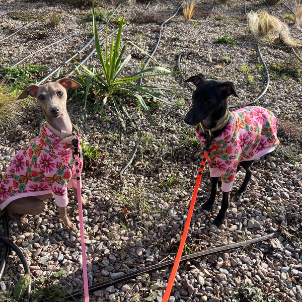 Sewing Pattern for Italian Greyhound Coat / Jacket / Waterproof ...