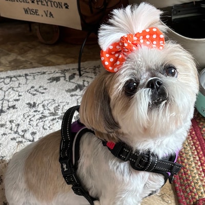 Dog Hair Bow for Dogs, Dog Hair Clip, Fall Hair Dog Bows, Hair Clip for ...