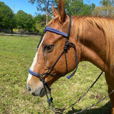 Soft Rope Cross Jaw Bitless Bridle Hackamore Woven Paracord Overlay ...