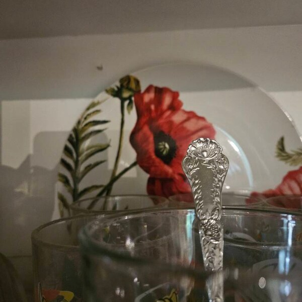 Collection (4 Films) of Vintage 16mm Films - Woody Woodpecker, Abbott ...