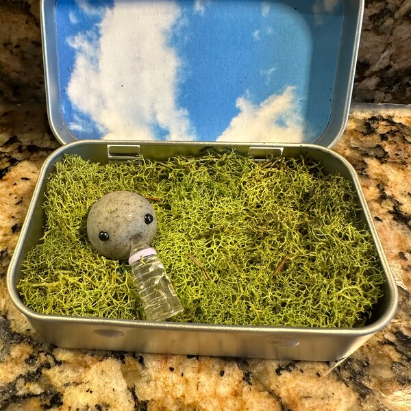 Adopt a TINY PEBBLE PAL W/ Crystal Moss Cork Jar Home Handmade Tiny ...