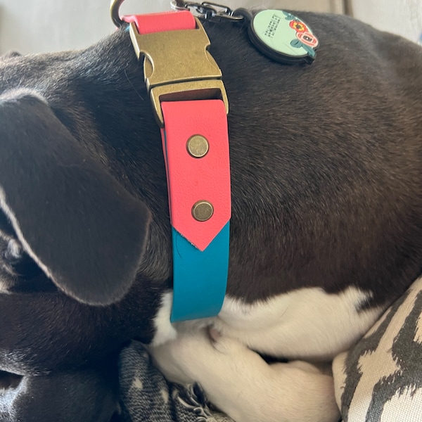 Biothane Leash With Traffic Handle- Dual Tone - Etsy