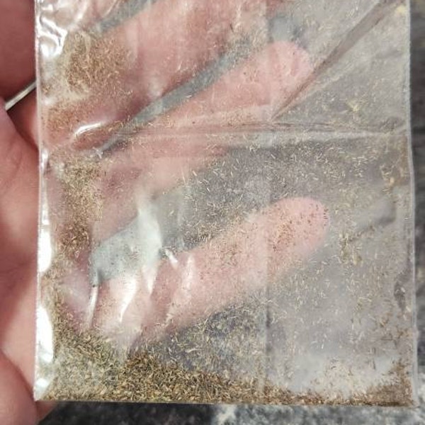 Box Elder Seeds (acer Negundo) - Tree Seeds - Hardiness Zone 2 - 100 ...