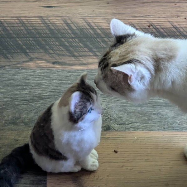 Cat Loss Memorial, Custom Stuffed Pet of Your Dog Cat, Handmade Pet ...