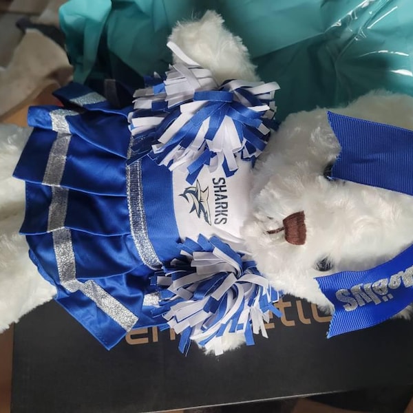 Personalized Cheerleading Plush Bear, Custom All-star Cheer Bears ...