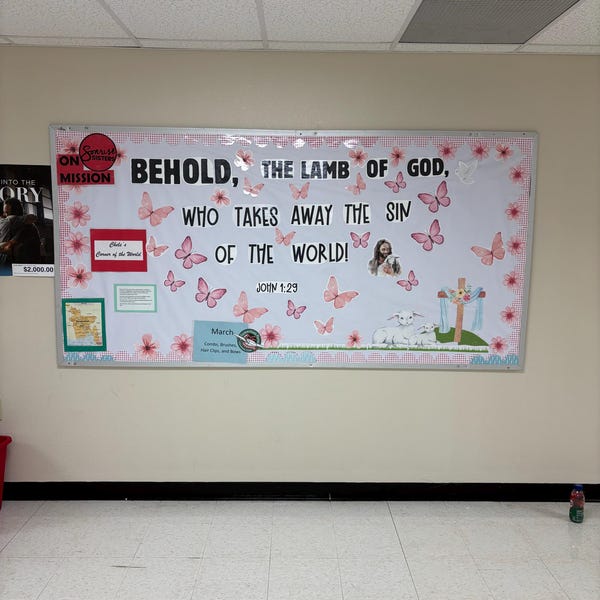 Reading Bulletin Board Spring Summer Library Boards Door Decor - Etsy