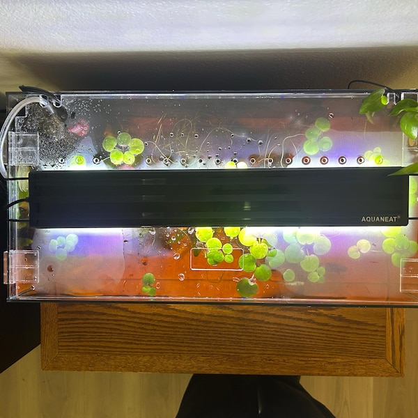 Acrylic Aquarium Lid: 2.5/5.5/10 Gallon | Clear Terrarium Cover ...