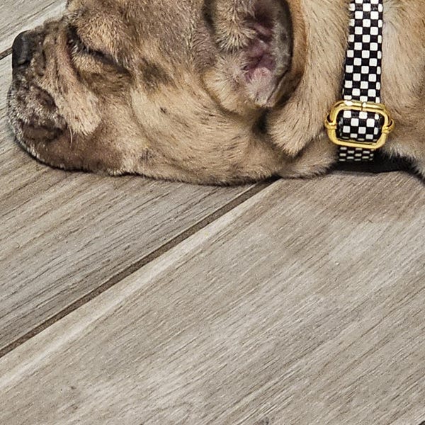 Plaid Dog Collars Personalized Dog Collars, Custom Dog Collar With Name ...