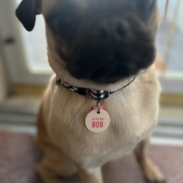 Kid's Info Keychain in Case of Emergency Key Chain, Phone Number ...