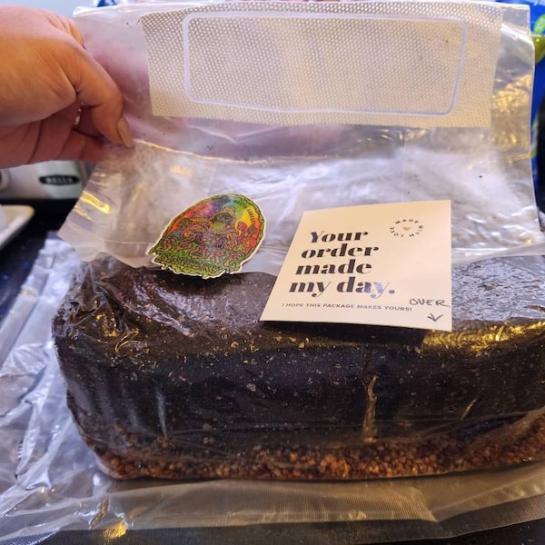 3 Pack | 5lb Milo Sorghum Grain Spawn| Sterilized Grain for Mushrooms ...