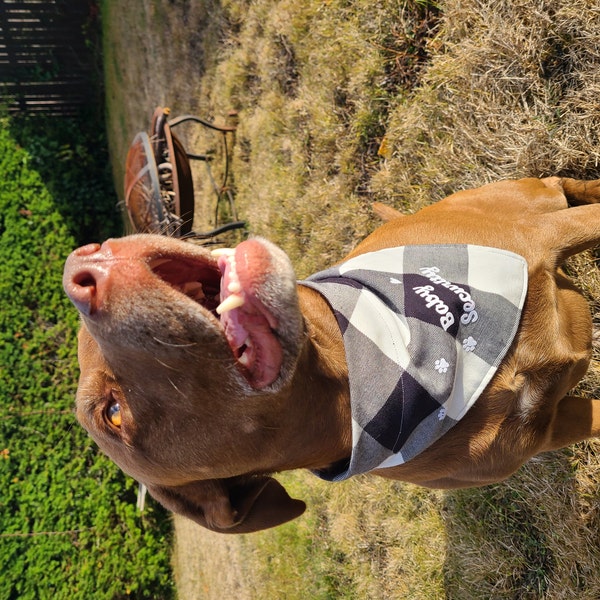 Sash Personalize Band, Custom Sash, Graduation Sash, Bachelorette Sash ...