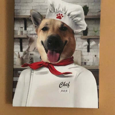 Pet Portrait,custom Pet Portrait,chef Cat Portrait,personalized Pet ...