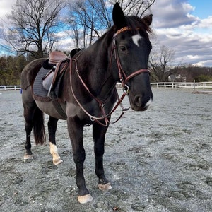 Turkey Box Call Holster / Case - Etsy