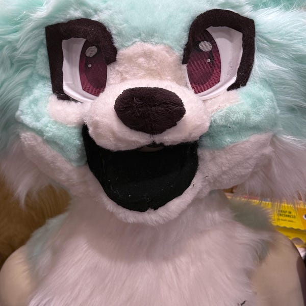 Custom Fursuit Eye Mesh - Etsy