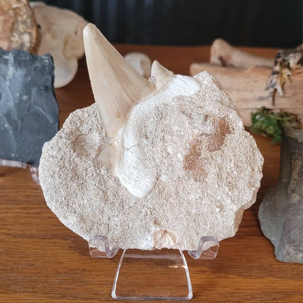 Aura Opal Core for Meditation and Aura Cleansing - Etsy