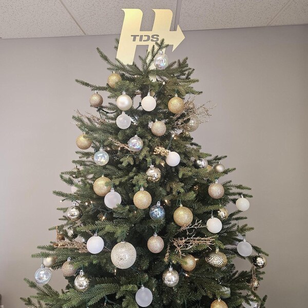 Customize Your Own Tree Topper! - Personalize Your Holiday With a ...