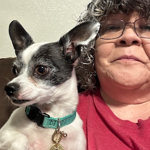 Brass Dog Tag, Personalized Brass Pet ID Tag, Custom Cat Tag, Unique ...