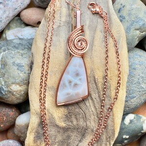 Turritella Agate Slab, Rough Slice for Lapidary, Stone Specimen, Fossil ...