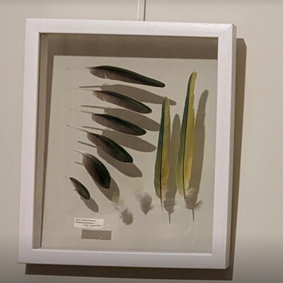 Coloured 7x5 Wooden Picture Frame, Photo Frames, With Clear Acrylic and ...