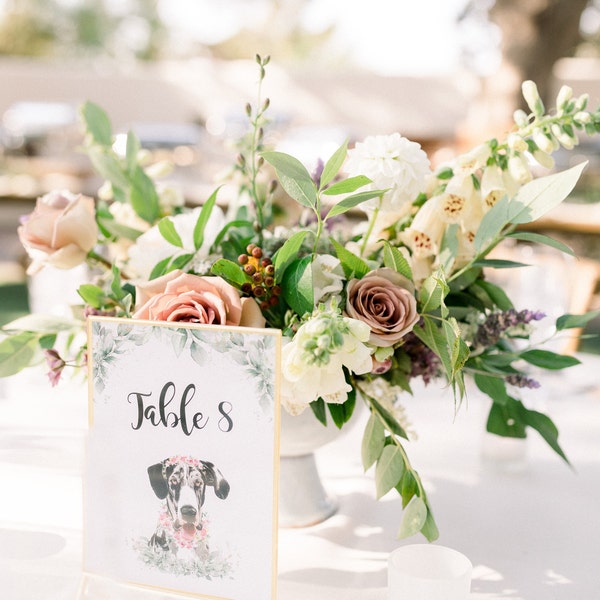 Wedding Seating Chart Cards With Pets From Photos, Dogs Wedding Table ...