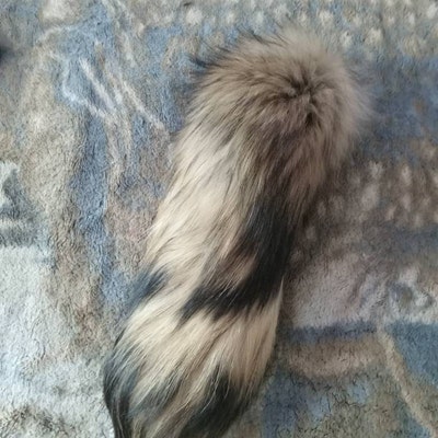 Professionally Soft Tanned Coyote Tail/real Fur - Etsy