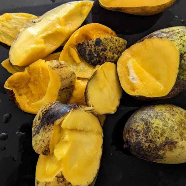 Tasty Jamaican Yellow Yams - 5 Pounds - Etsy