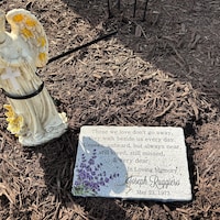 Memorial Stone. Pet Snake. Python. Boa Constrictor. Reptile. 8x4 ...