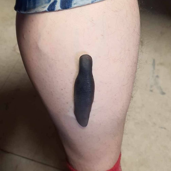 Larp Safe Rubber Leeches, Larp Medic, 5 Pack, Leach Healer, Plague ...