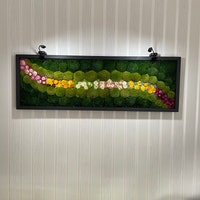 Mosswall + 2 Battery Operated LED Lamps, Preserved Moss, Lighted Moss ...