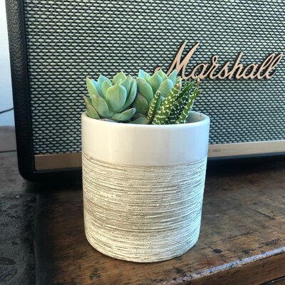 Personalized Name Definition Planter Pot Custom Name Definition Pot ...