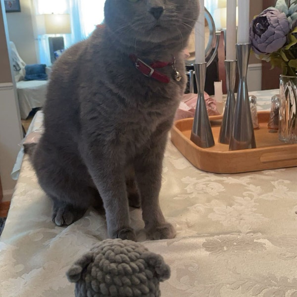 Crochet Pocket Frog Plushie ~ Mini Frog ~ Froggy ~ Stuffed Animal ...