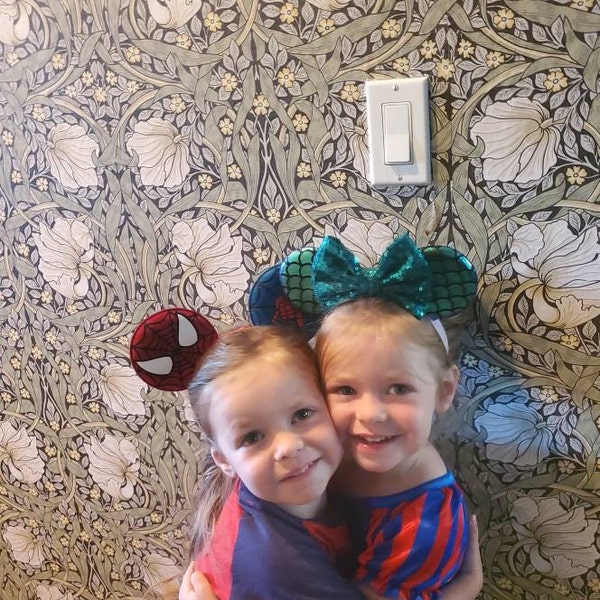 Minnie Ears, Baby Toddlers Mickey Ears, Mouse Ears With Adjustable ...