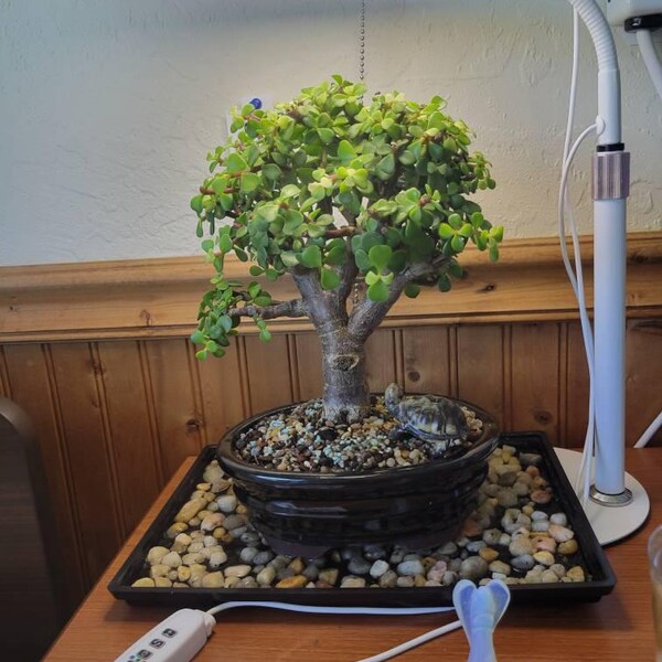 Bonsai Figurine, Fisherman, Mudmen, Handmade, Statue, Mini Home Decor ...