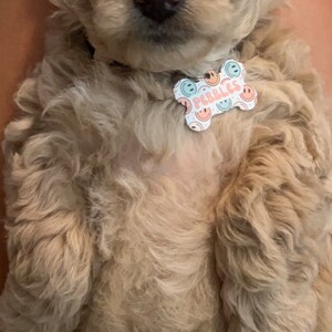 Retro Smiley Dog Tag Retro Dog Tag Pet Tag Custom Dog Tag - Etsy