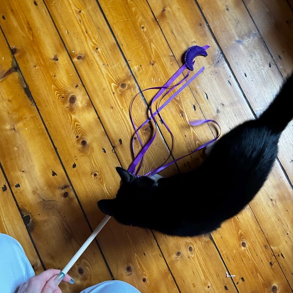 Black Bat Cat Wand Catnip Toy, Gift for Cat Lovers, Gift for Kittens ...