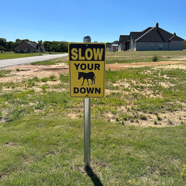 Funny Slow Down Sign, Caution Slow Down, Funny Donkey Sign, Donkey Gift ...