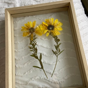 Matte Black Double Glass Floating Frame, Pressed Flower Frames for ...