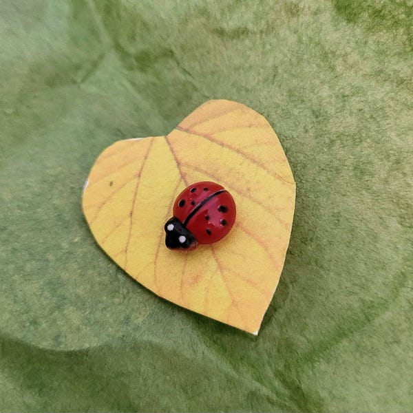 Realistic Ladybug Pin Badge. Mini Resin Ladybird Brooch. Fairycore ...