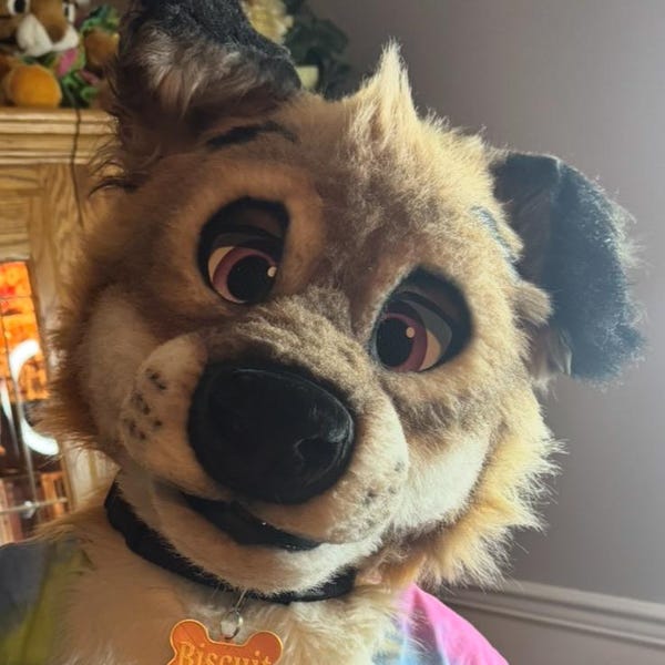 3D Printed Tag | Fursuit Tag | Custom Tag | Name Tag | Bone Tag ...