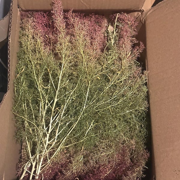 Seafoam Trees Box Mixed Size - Model Scenery Perfect for Miniature War ...