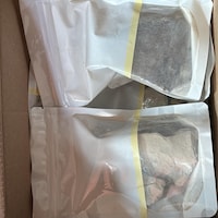 White Kola Nuts/ 5 Pieces - Etsy