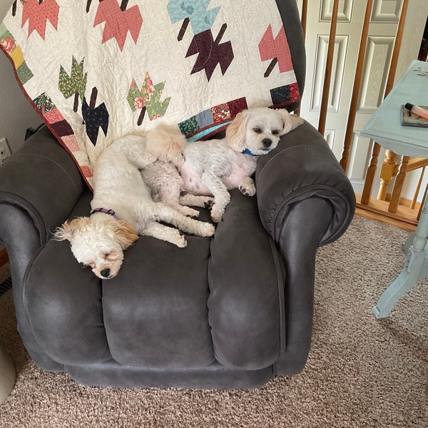 Hop Scotch Blocks - Etsy