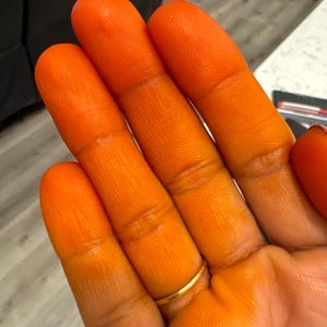 CALOTROPIS GIGANTEA Giant / Madar/ Milkweed Tree Plant Butterfly Garden ...