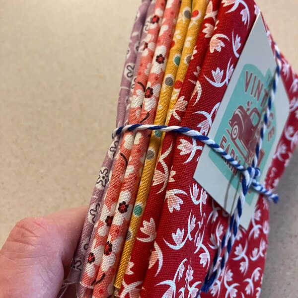 Easy Sew Mama Hen Chick Kit Learn to Sew Pattern Beginner Sewing Fabric ...