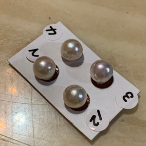 16.9x14.0mm Natural Deep Sea Angel Skin Color Coral Oval | Etsy