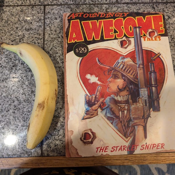 Un-official Handmade Fallout Magazines / Journals / Books - Etsy