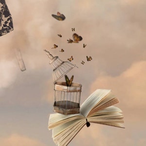 Flying Books Overlay Photoshop Overlays for Photoshop. Digital ...